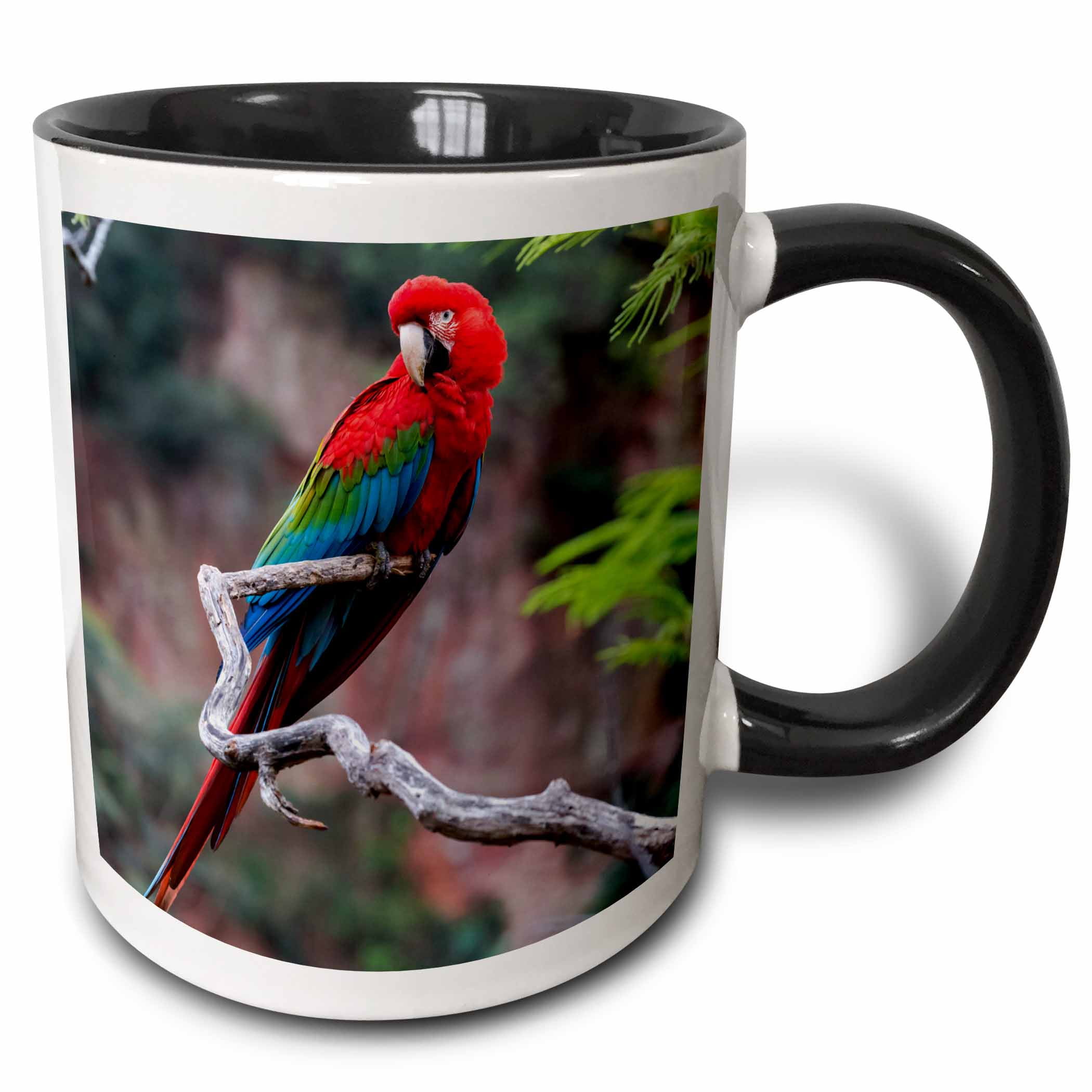 Brazil, Sinkhole of the Macaws. Portrait of a red and green macaw. 11oz ...
