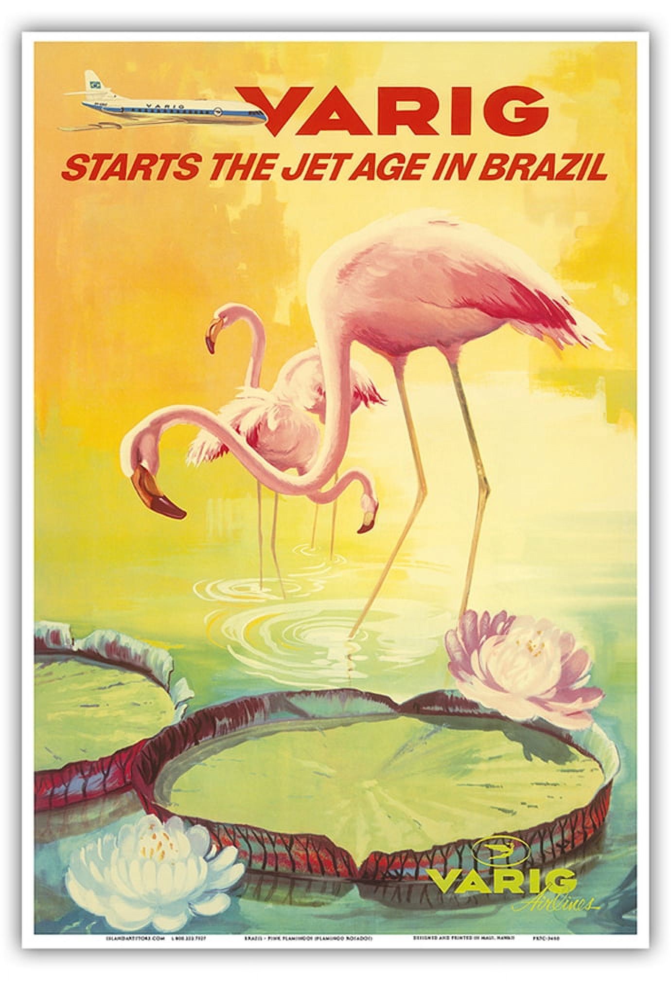 Brazil - Varig starts the Jet Age in Brazil - Pink Flamingos (Flamingo ...