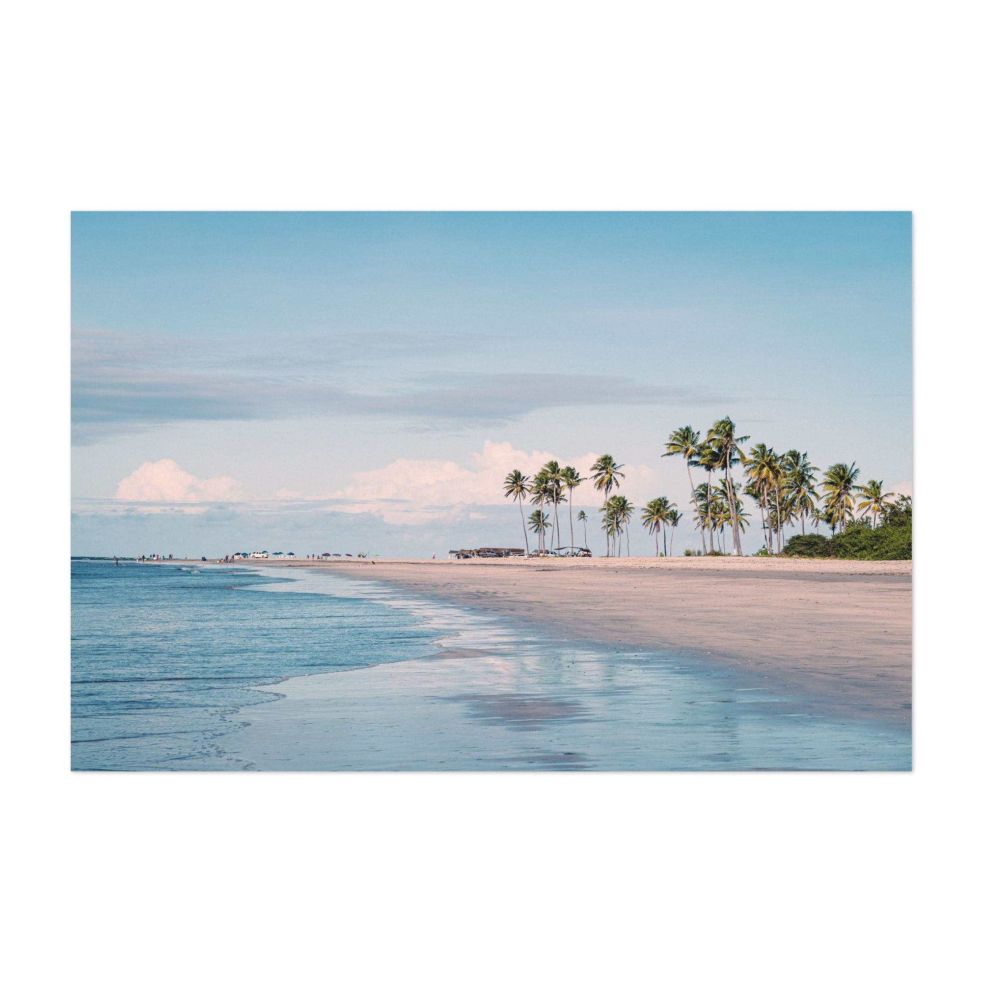 Brazilian Beach - Lucena Paraíba Brasil Photography Beach Palm Tree ...