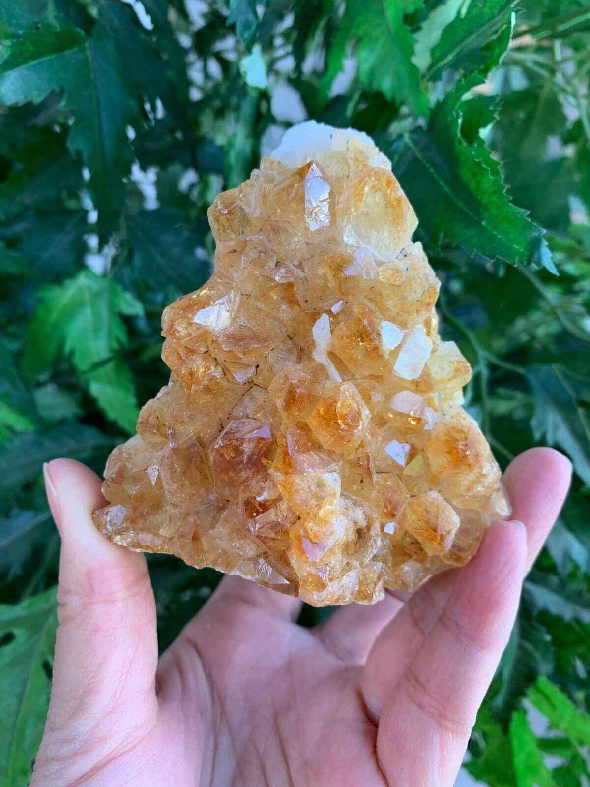 Brazilian Citrine Clusters With Cut / Flat Base, Honey Citrine Quartz ...