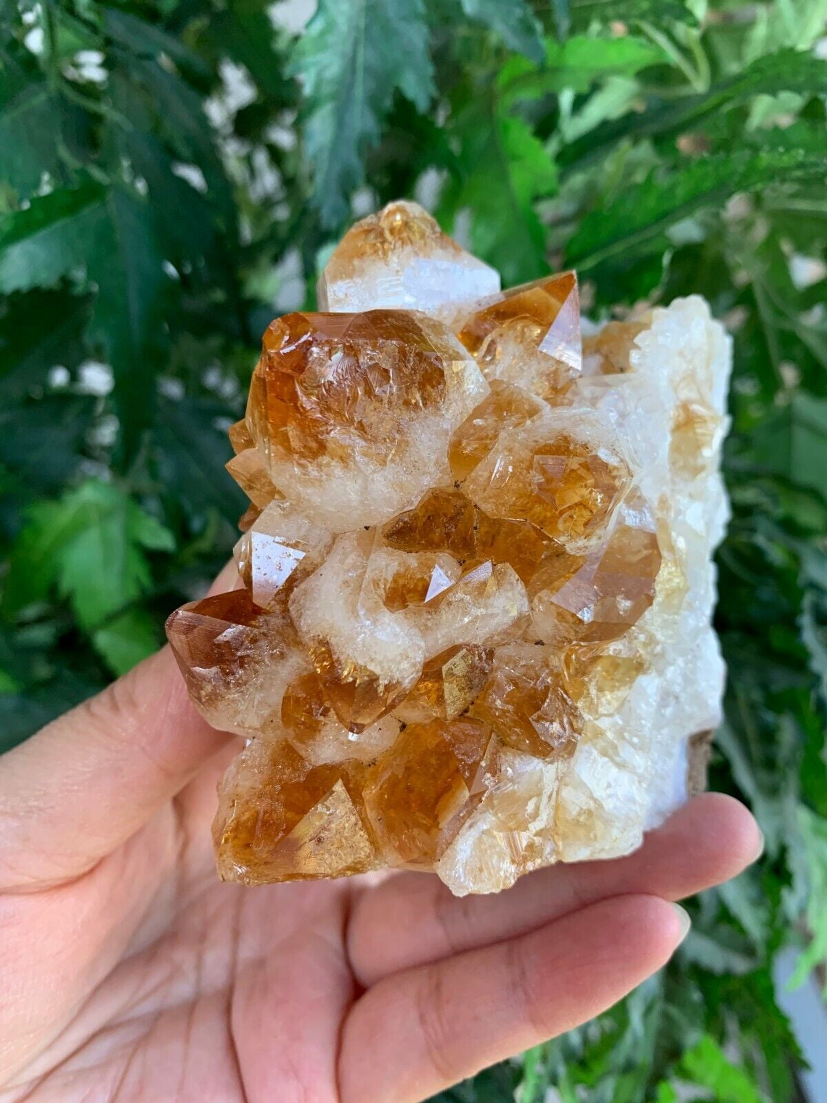 Brazilian Citrine Clusters With Cut / Flat Base, Honey Citrine Quartz ...