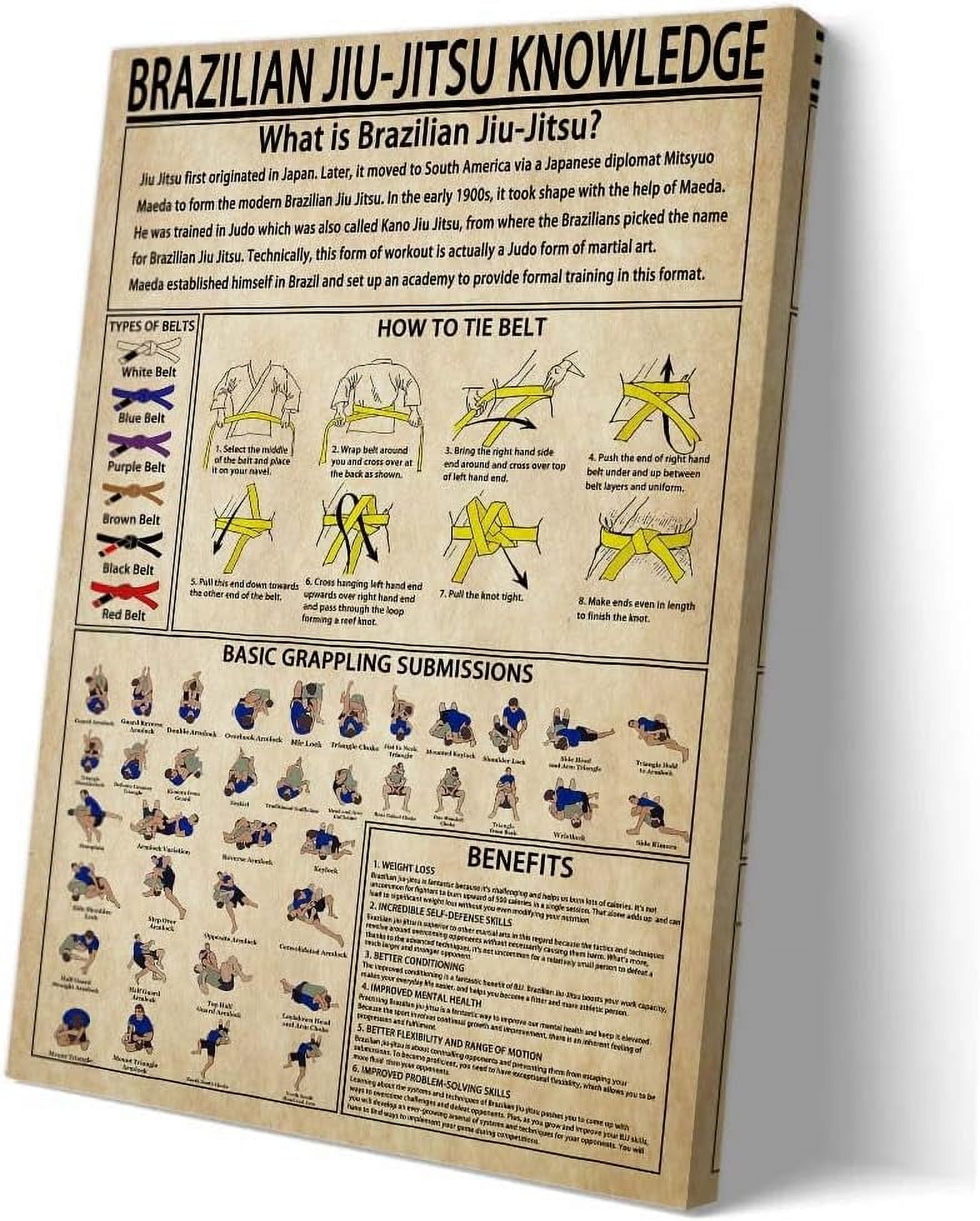 Brazilian Jiu Jitsu Wall Art Knowledge Poster Educational Wall Art Jiu ...
