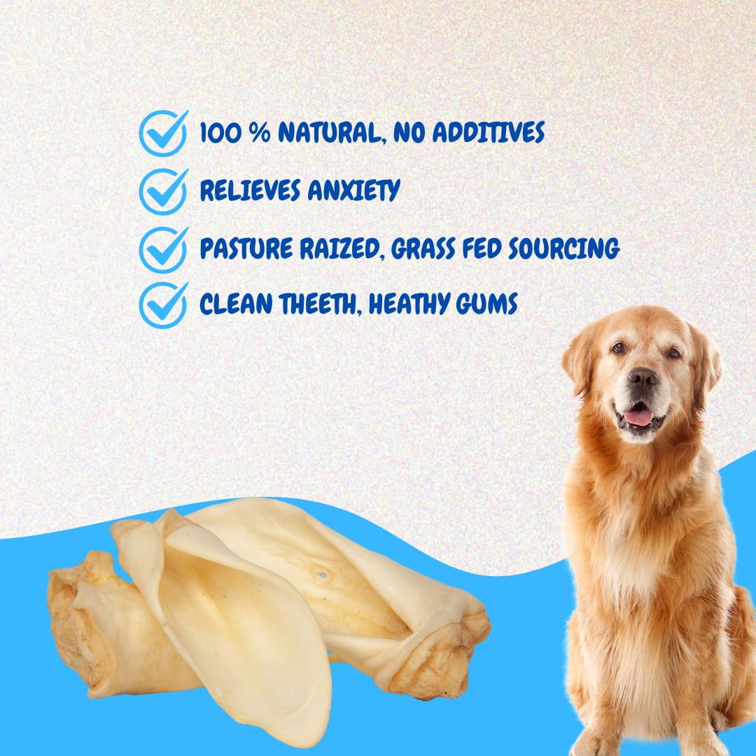 Brazilian Pet 100%UMRT Natural Real Cow Ears (50 Pack) Prime Dog Chews ...