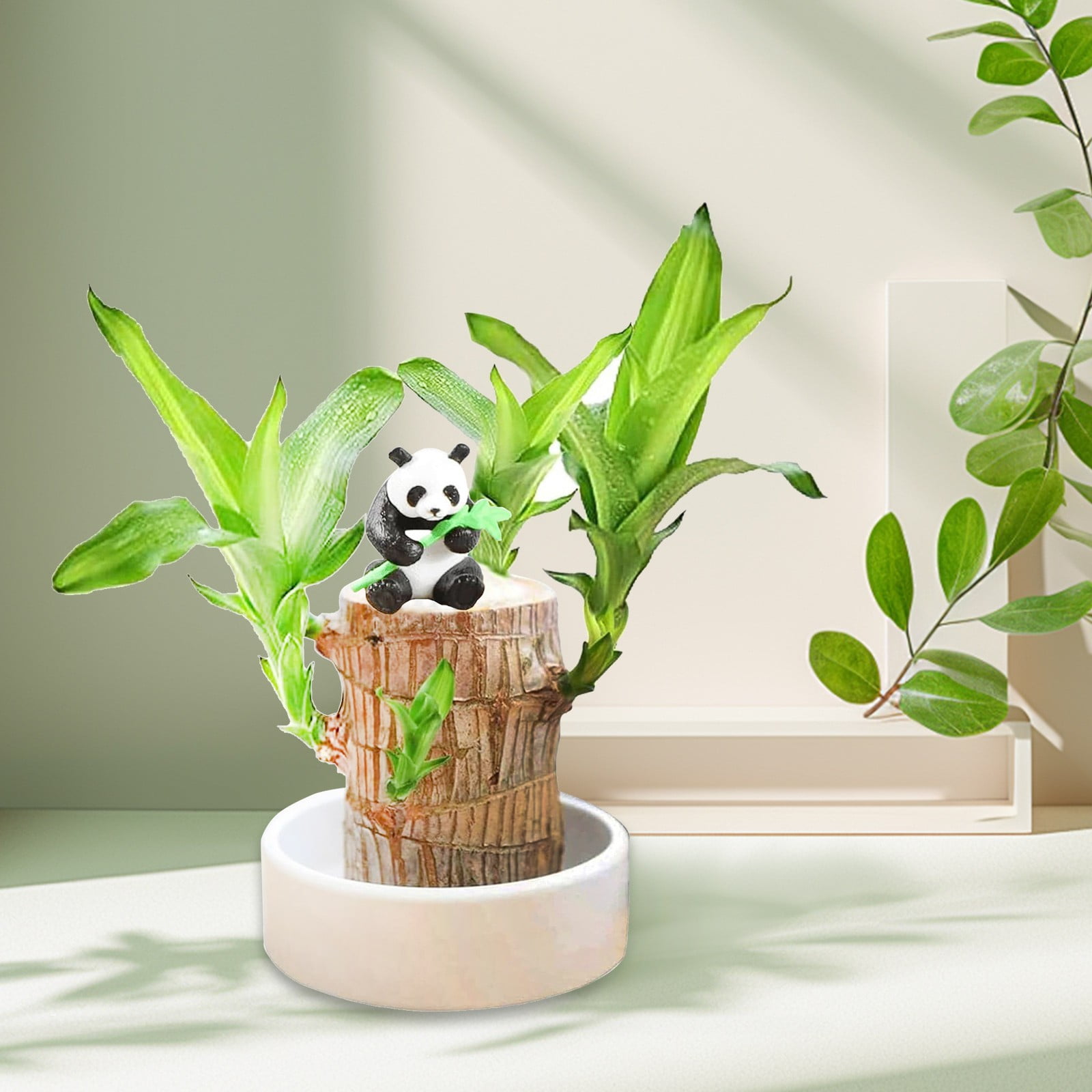 Brazilian Water Wood Hydro Planter panda- Low-Maintenance Indoor Lucky ...