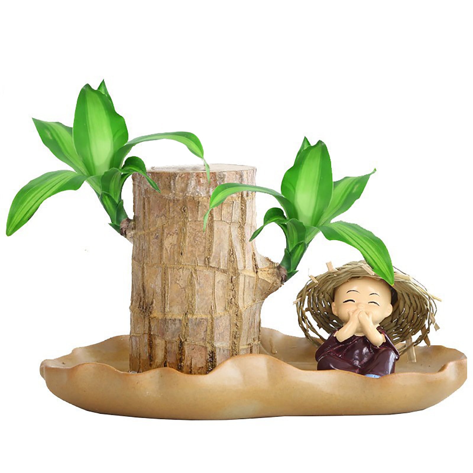 Brazilian Wood, Mini Brazil Lucky Wood, Brazilian Wood Decor, Brazilian ...