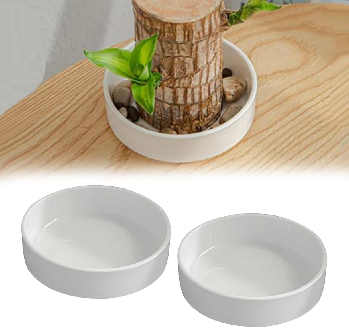 Brazilian Wood Pallet White Ceramic Saucer, Ceramic Plant Tray for Pots ...