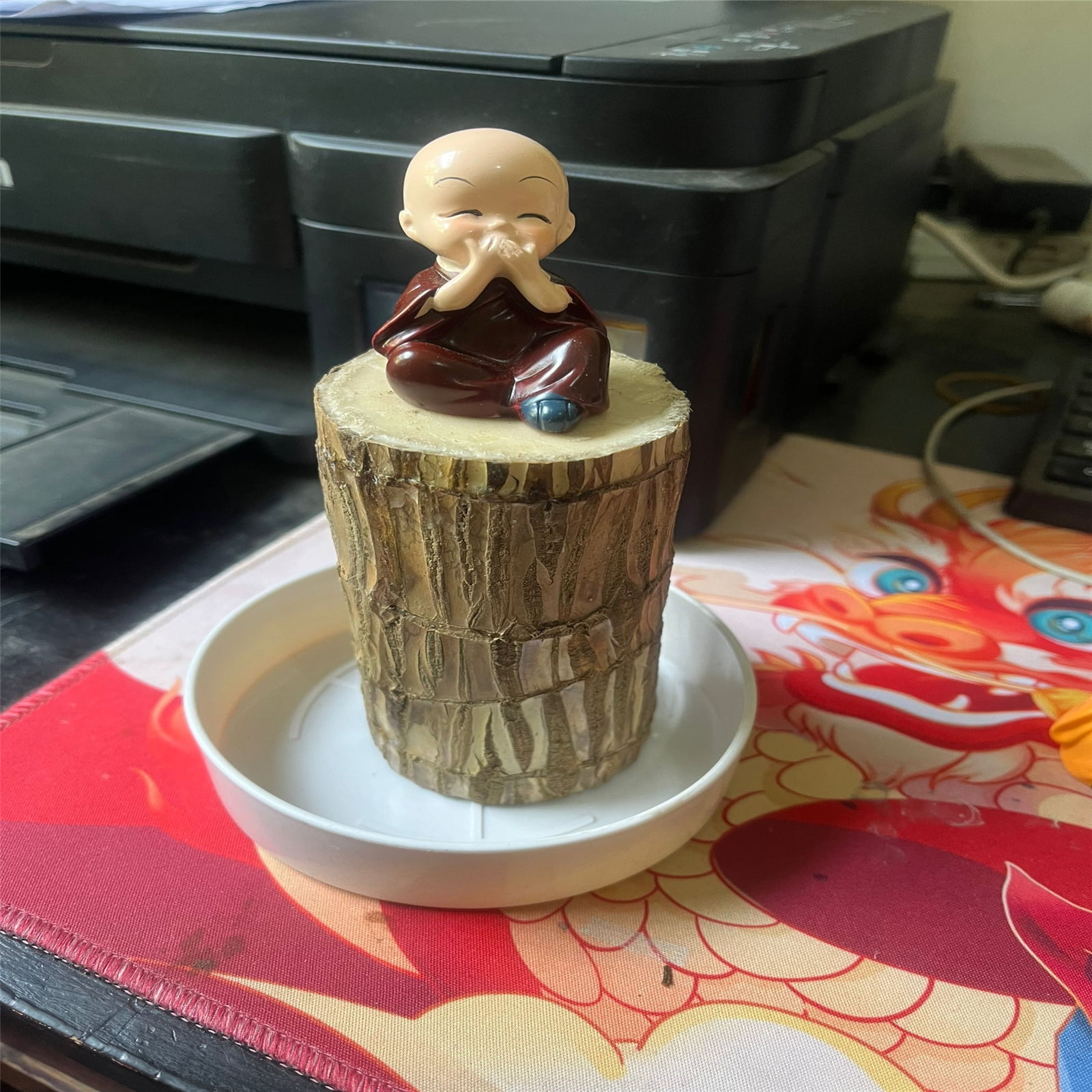 Brazilian Wood Plant, Brazilian Lucky Wood Plant Pot,Brazilian Wood ...