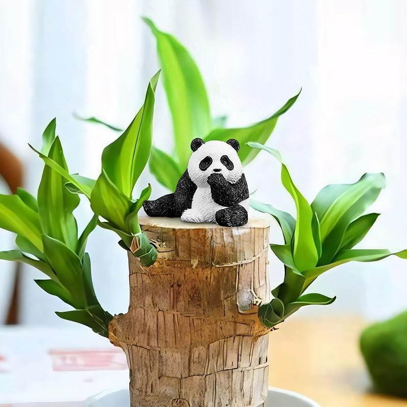 Brazilian Wood Plant Panda Decor, Mini Brazil Lucky Tree Resin Panda ...