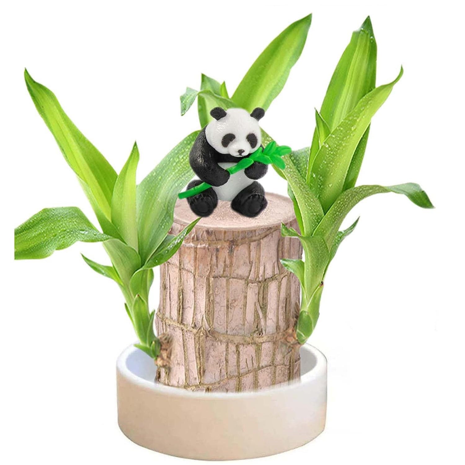 Brazilian Wood with Panda Doll and Tray, Brazilian Lucky Wood Decor ...