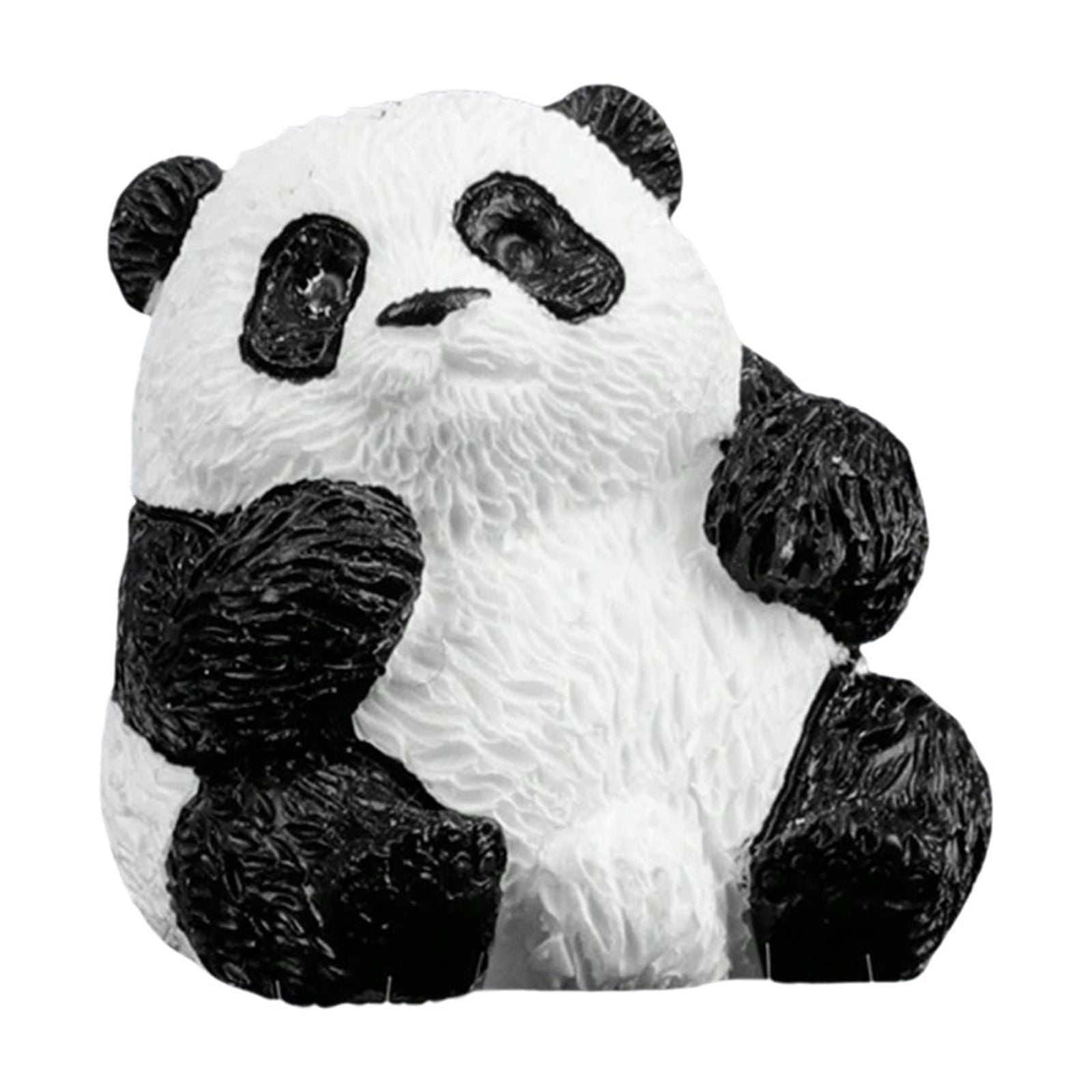 Brazilian Wood Plant Set, Brazilian Lucky Wood Plant with Little Panda ...