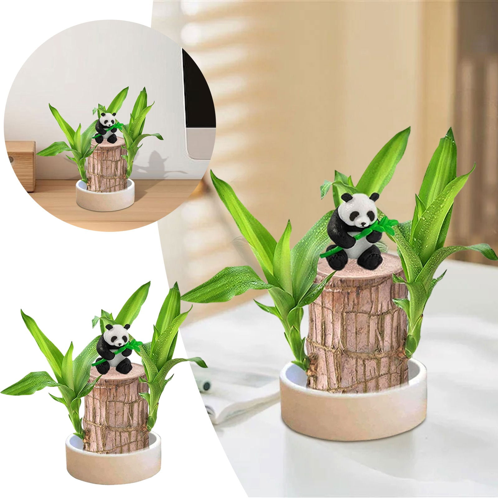 Brazilian Wood Plant Set, Brazilian Lucky Wood Plant with Panda Statue ...