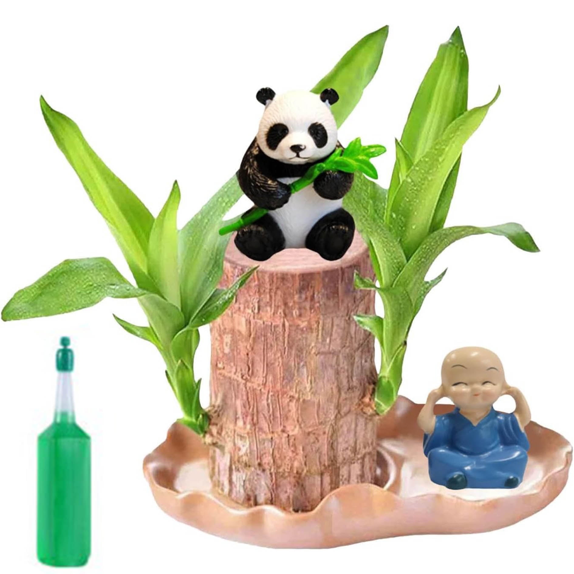 Brazilian Wood Plant Set, Brazilian Lucky Wood Plant with Panda Statue ...