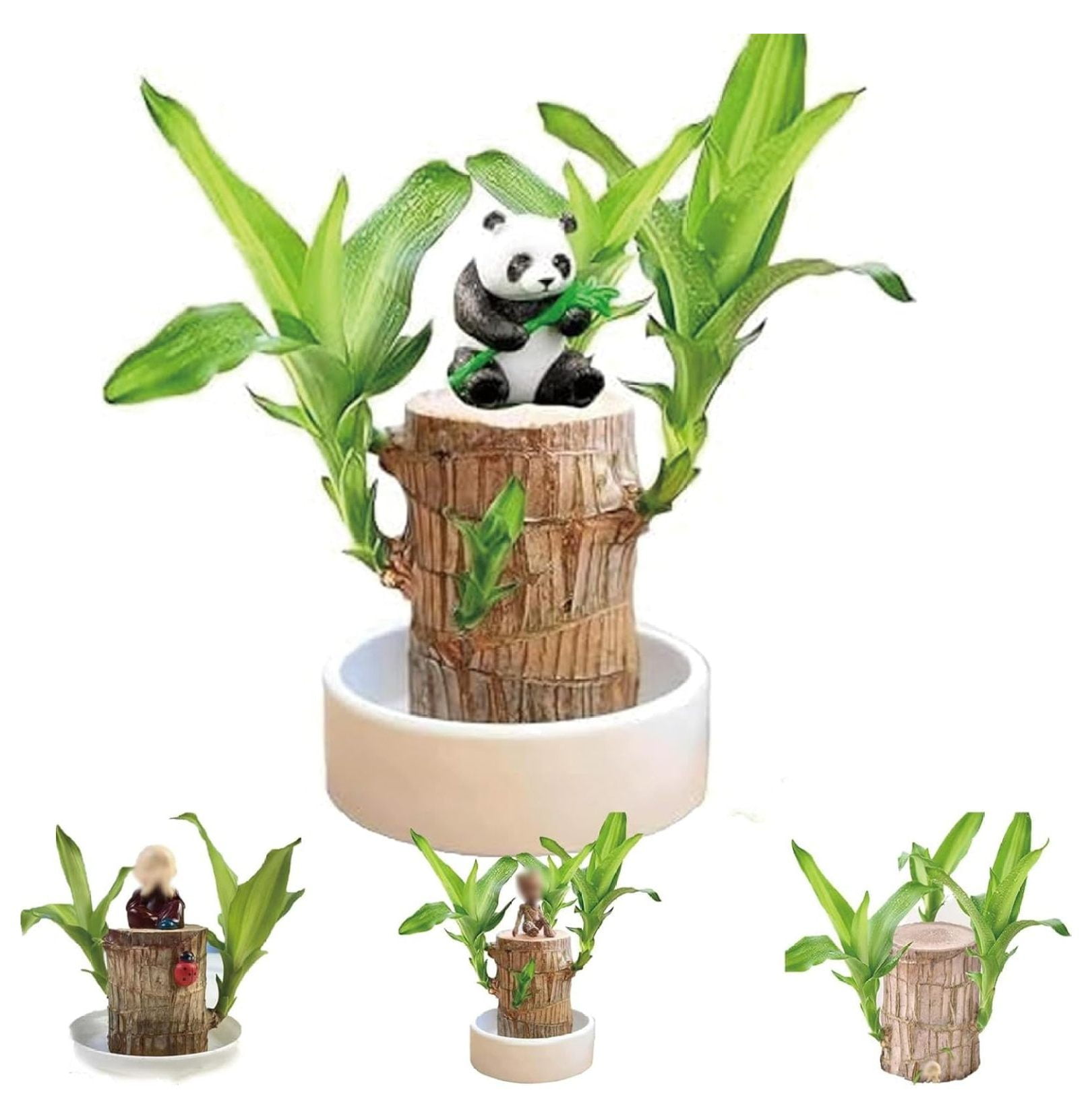 Brazilian Wood Plant Set, Brazilian Wood Plant with Panda Statue ...