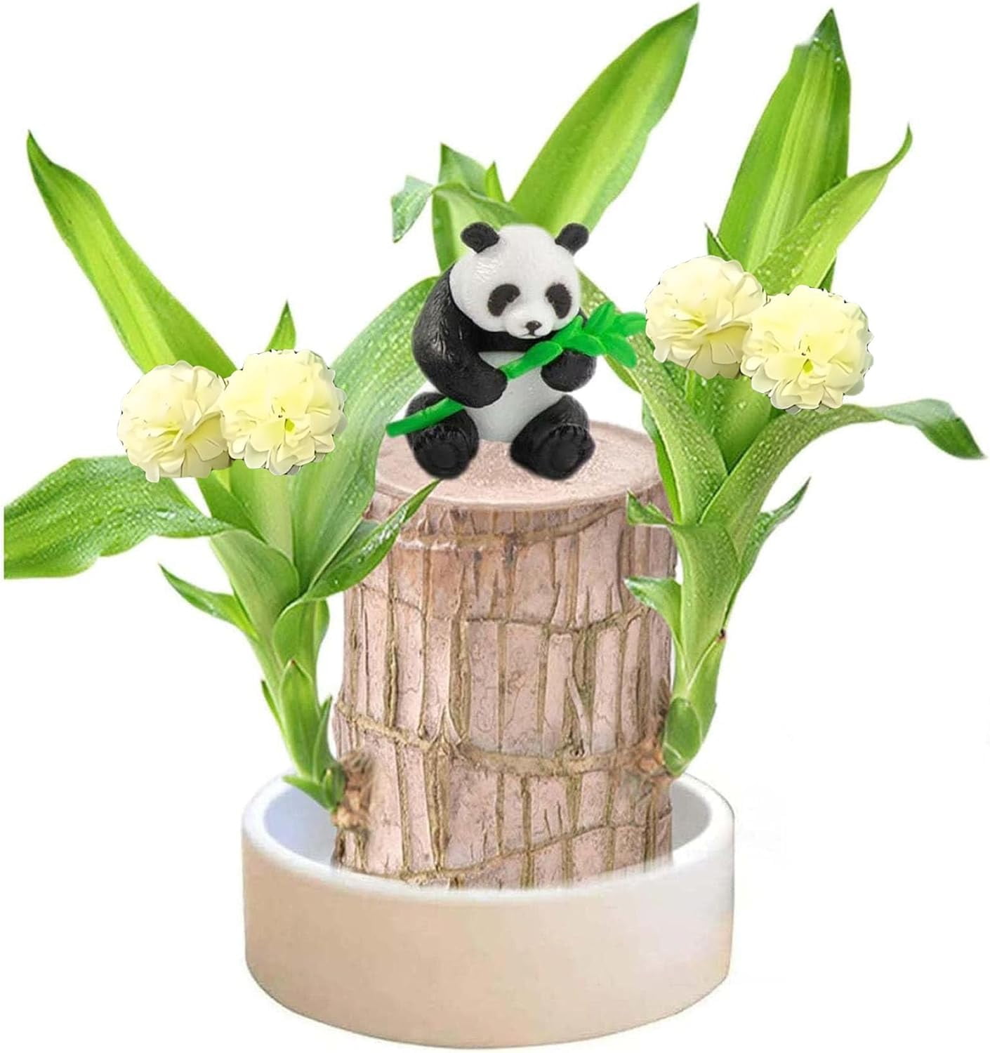 Brazilian Wood Plant Set, Brazilian Lucky Wood Plant with Panda Statue ...