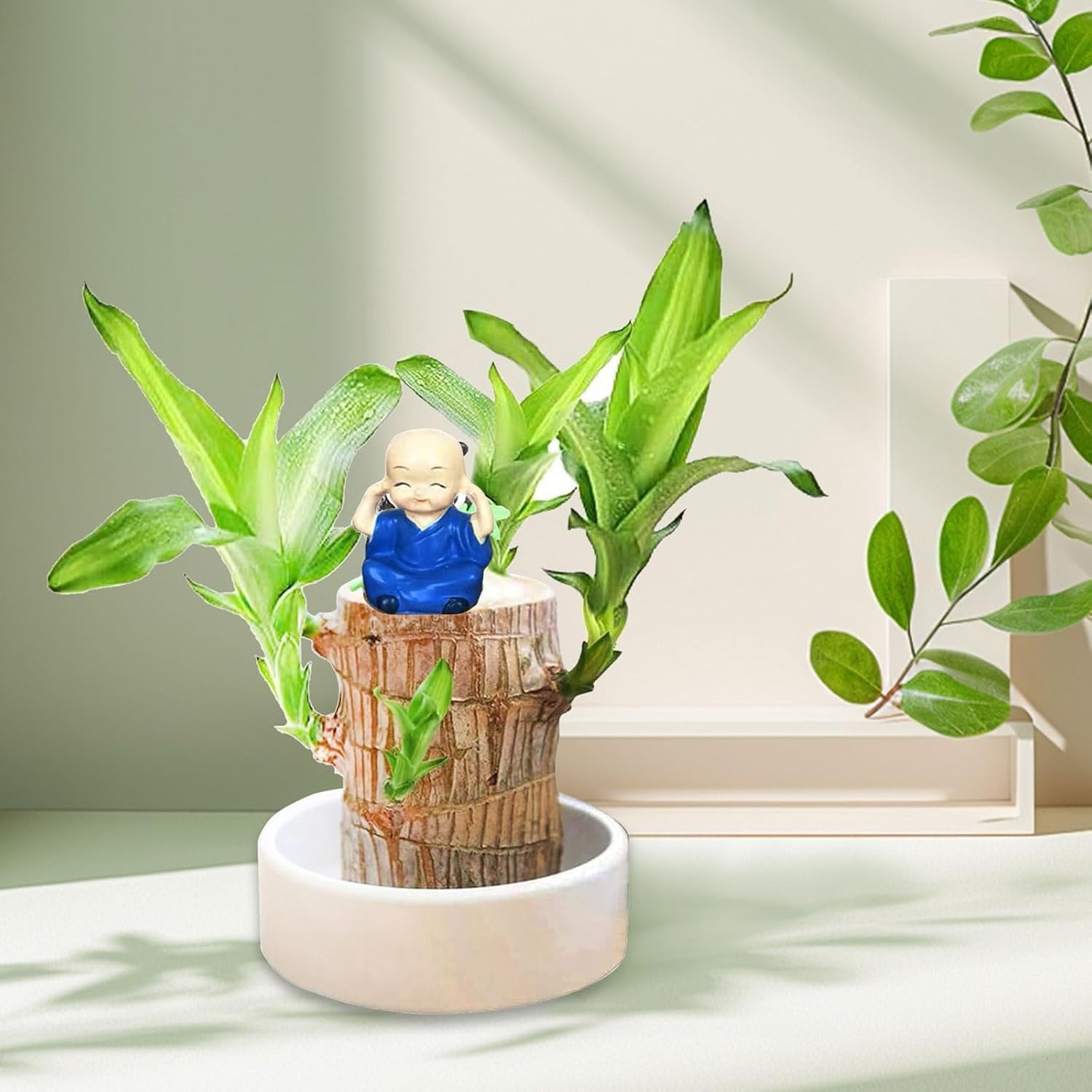 Brazilian Wood Plant Set, Brazilian Lucky Wood Plant with Panda Statue ...