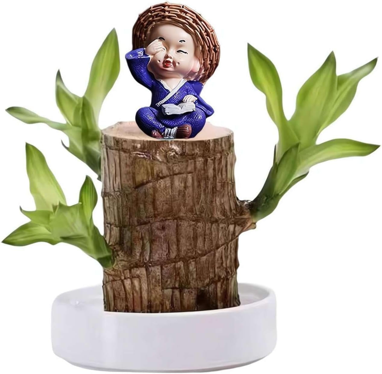 Brazilian Wood Plant Set, Brazilian Lucky Wood Plant with Panda Statue ...