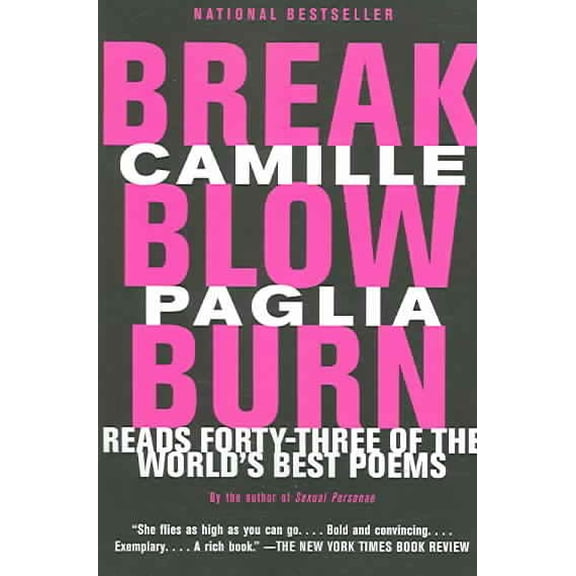 Pre-Owned Contemporary City Reclaiming Cities as Spaces of Middle Class ...