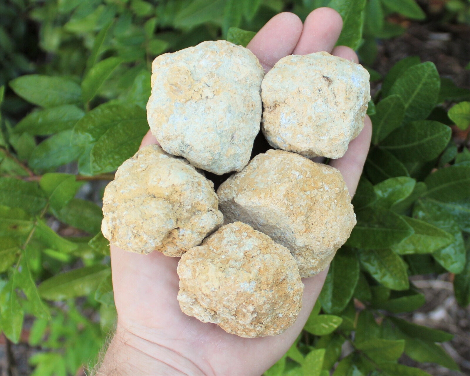 Break Your Own Geodes: Choose How Many Pieces, Large Unopened Moroccan ...