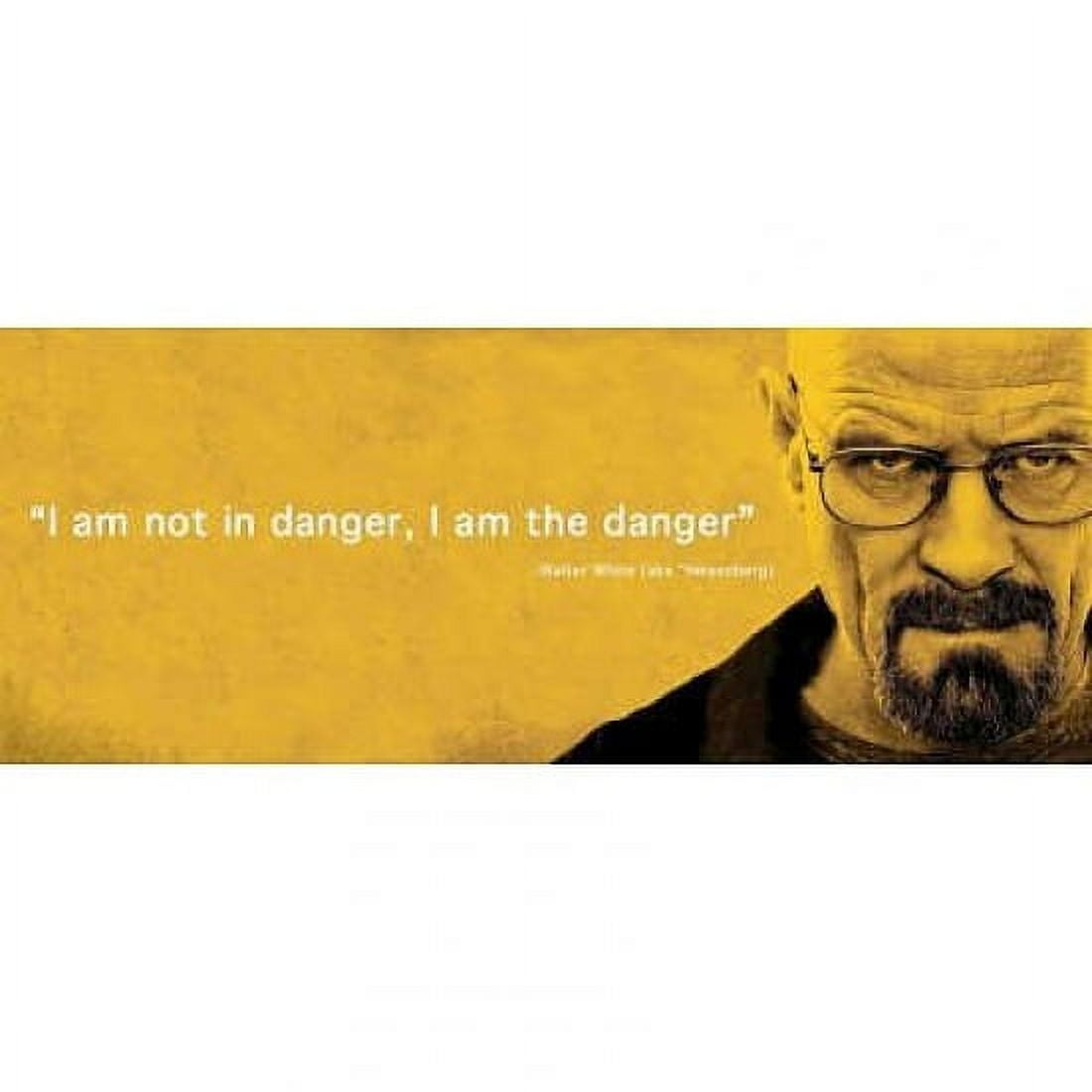 Breaking Bad Danger I Am The Danger Poster (36 x 24) - Walmart.com