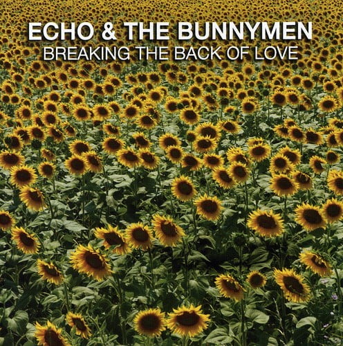 Breaking The Back Of Love (CD) - Walmart.com