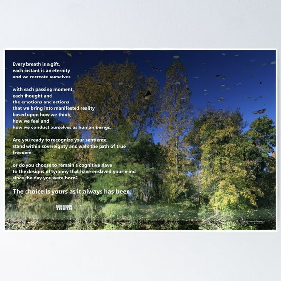 Breath Poster- Unframed Poster | Wall Art | Perfect For Home Decor ...