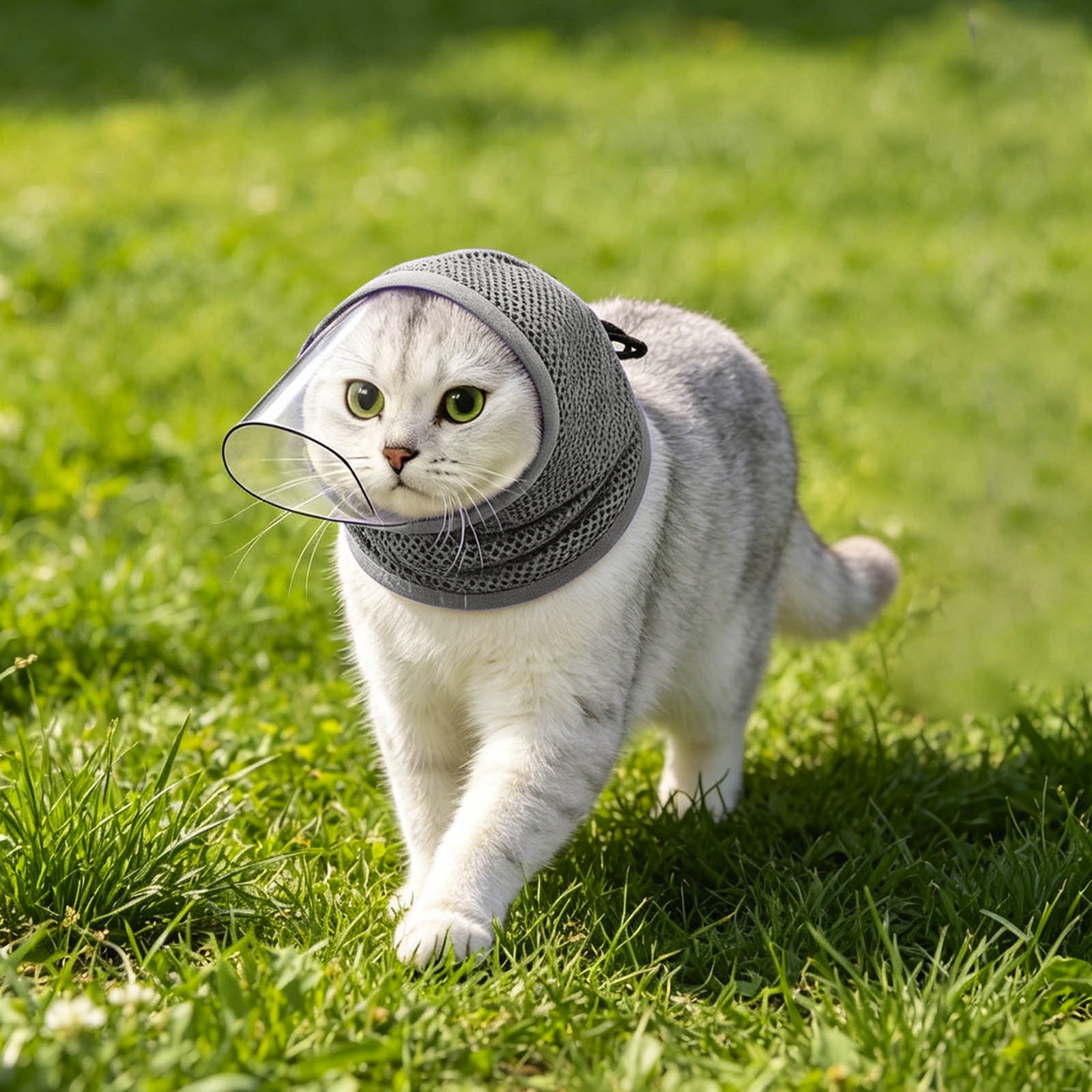 Breathable Mesh Cat Muzzle with Transparent Guard Adjustable Anti-Lick ...