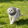 Breathable Mesh Cat Muzzle with Transparent Guard Adjustable Anti-Lick ...