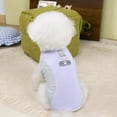 Breathable Mesh Dog Harness Vest with D-Ring, Step-in Design for Small ...