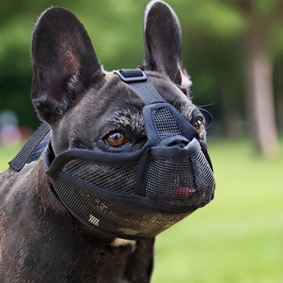Breathable Mesh Dog Muzzle Anti-Biting Pet Mouth Cover Soft Comfort Pet ...
