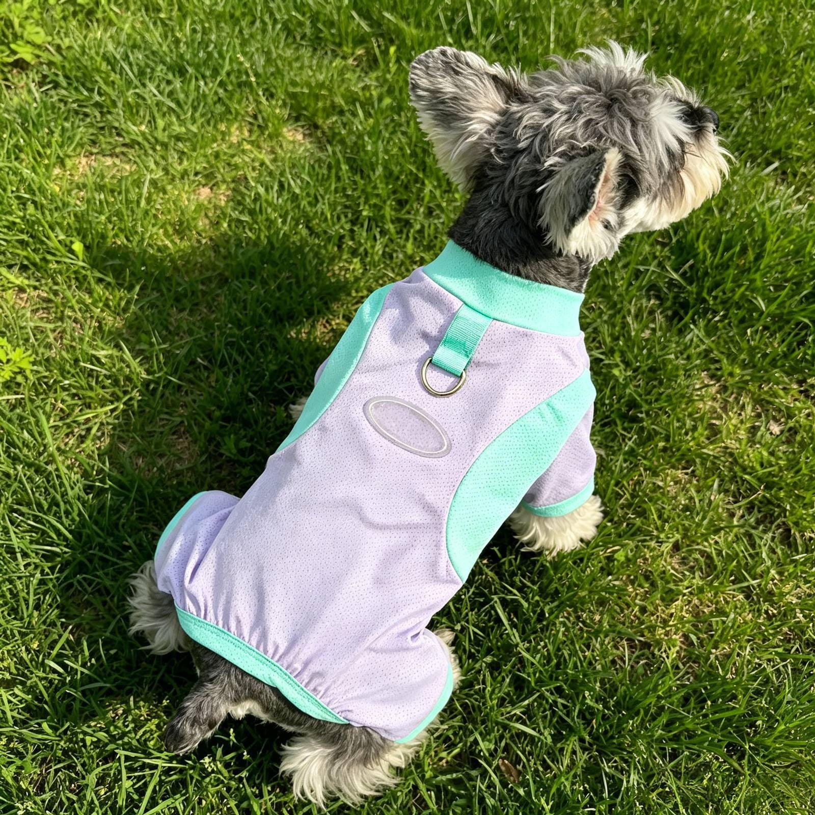 Breathable Mesh Dog Sun Protection Jumpsuit with D-Ring, Summer Cooling ...