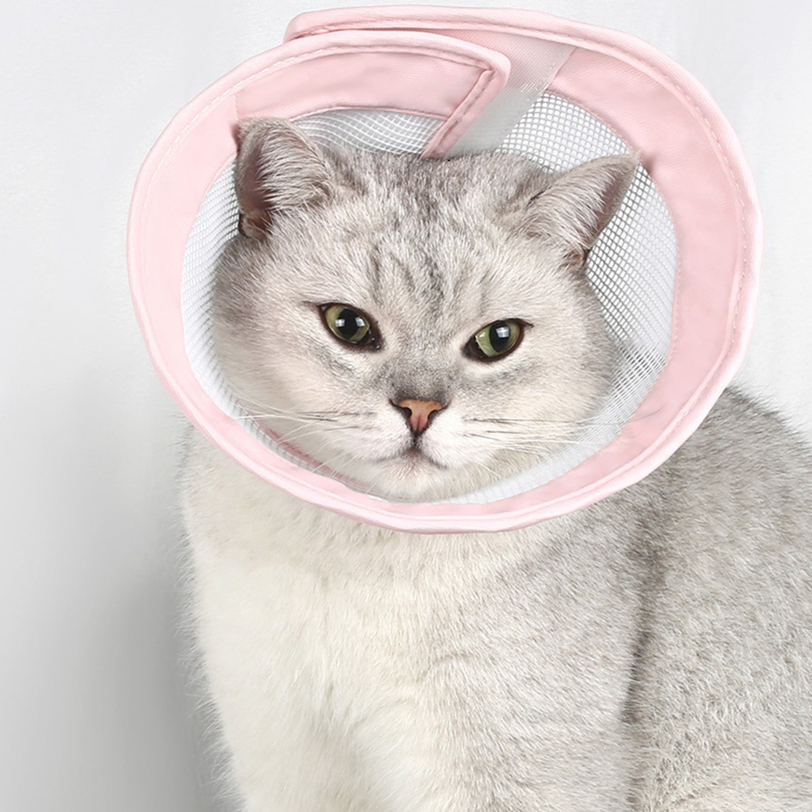 Breathable Mesh Pet Ring for Cats Licking and Biting Soft Comfortable ...