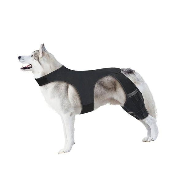 Breathable Neoprene Dog Leg Brace Elastic Protective Wrap For Senior ...