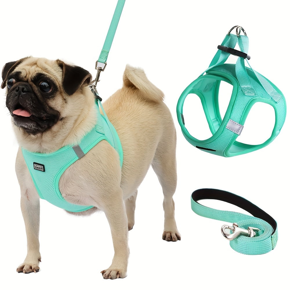 Breathable Reflective Dog Vest Harness with Leash Set, Step-in Dog ...