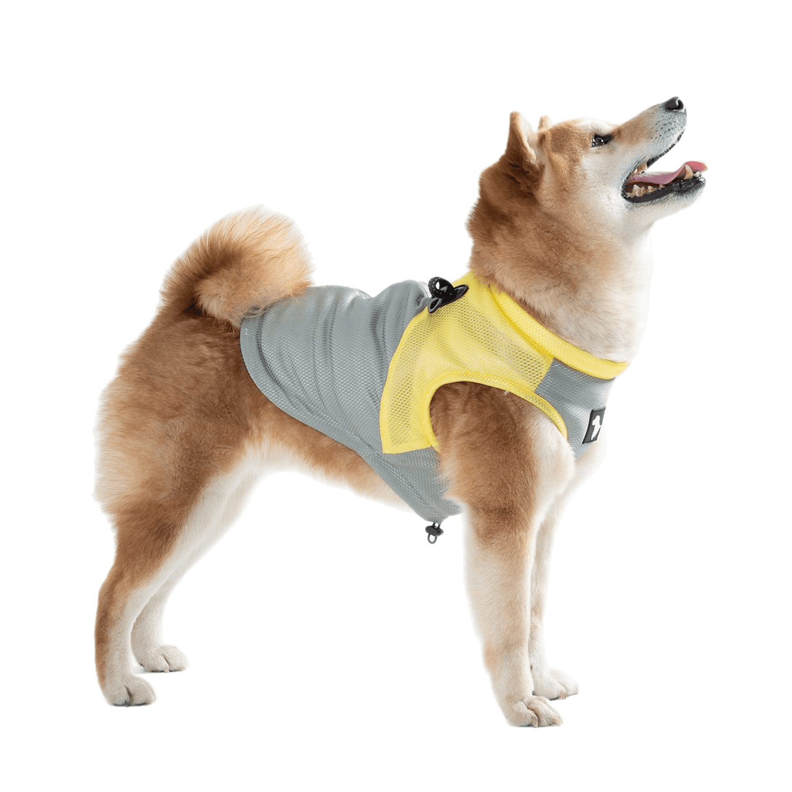 Breathable Summer Dog Vest for Medium & Large Dogs – Lightweight Pet ...