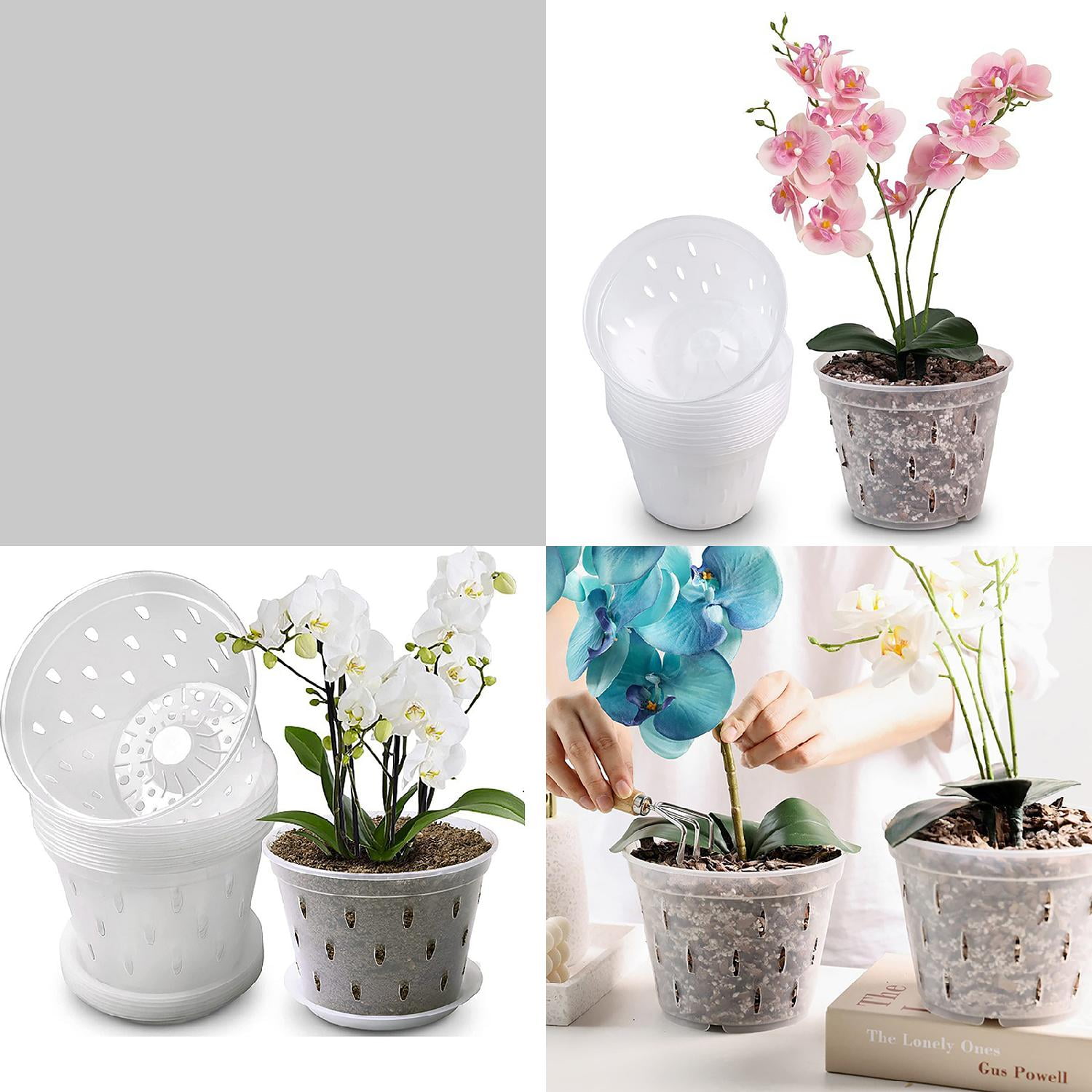 Breathable Transparent Plastic Flower Pot With Drainage Holes - Ideal ...