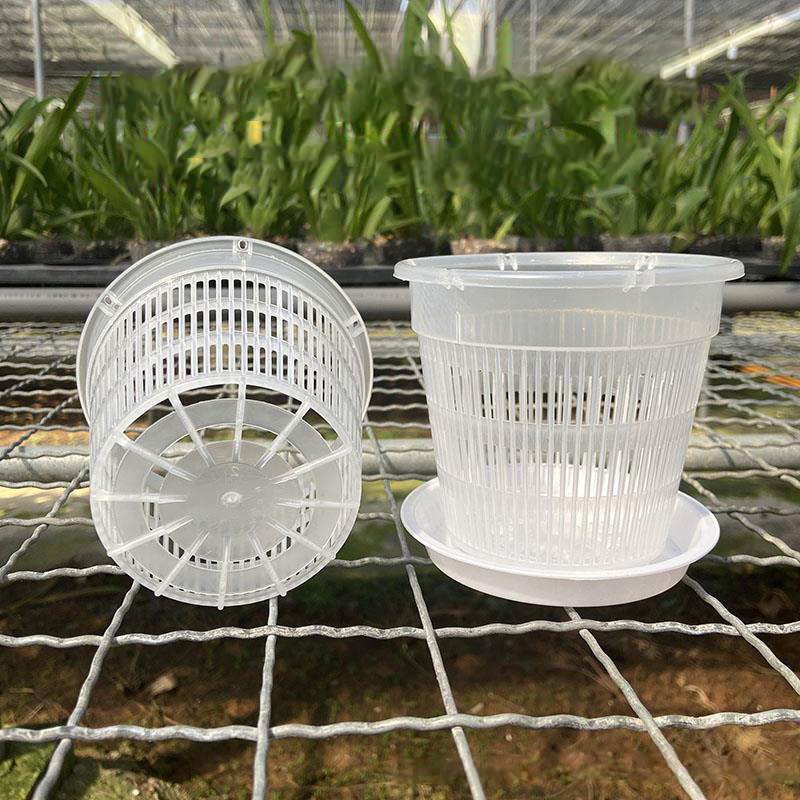 Breathable Transparent Plastic Flower Pot with Root Control Ideal for ...