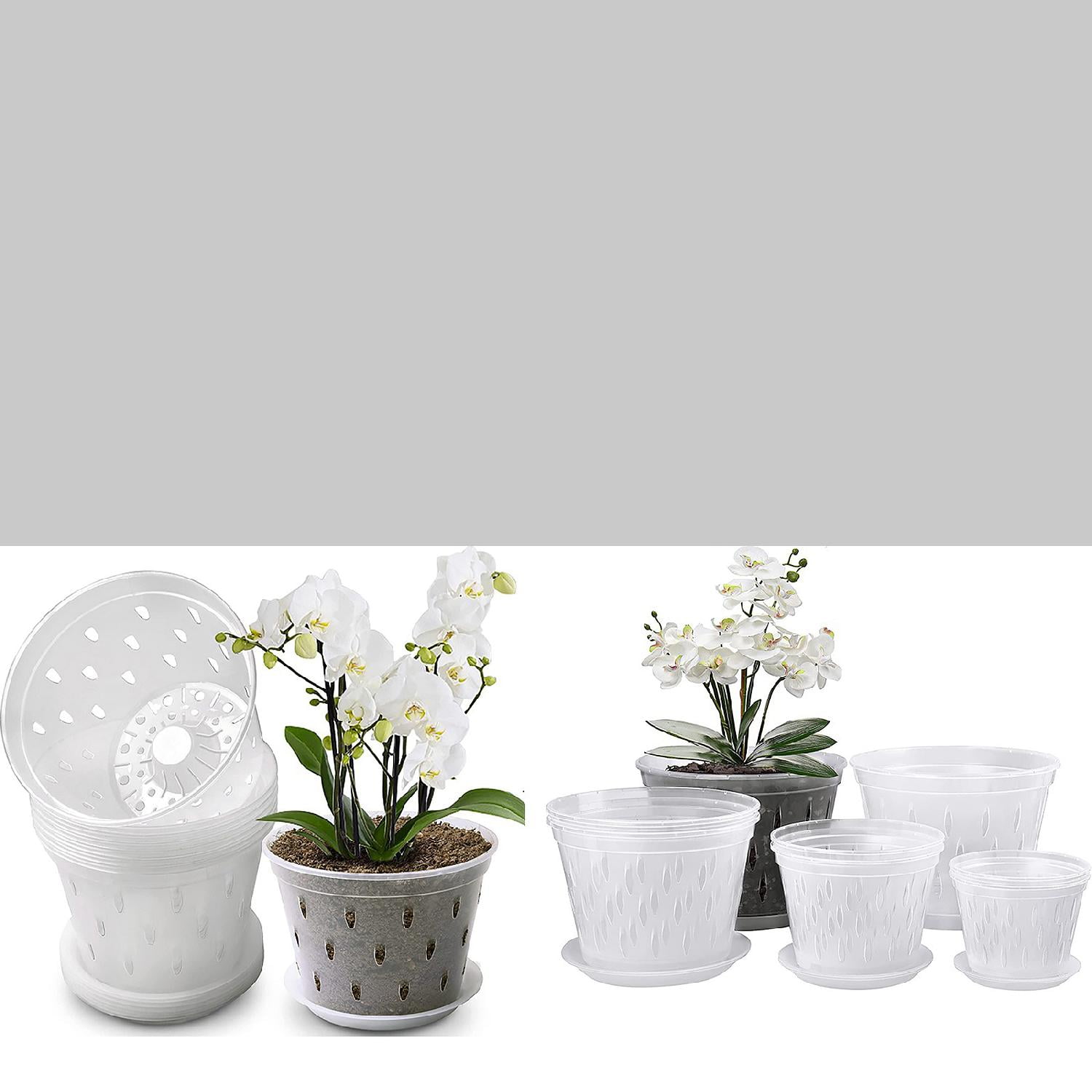 Breathable Transparent Plastic Garden Planter with Drainage Tray - 1 ...