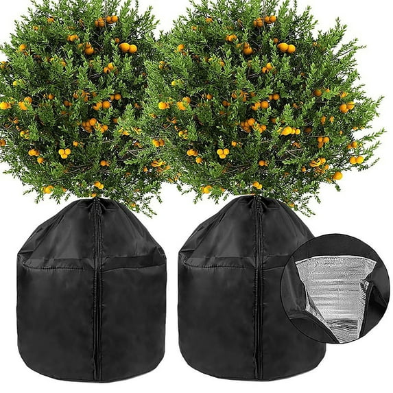 Breathable Water-Absorbent Garden Insulation Cover for Fruit Trees ...