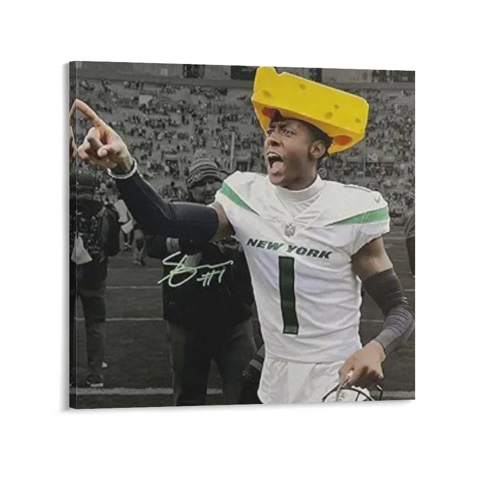 Breece Hall And Sauce Gardner Canvas Poster 24x24inch(60x60cm ...