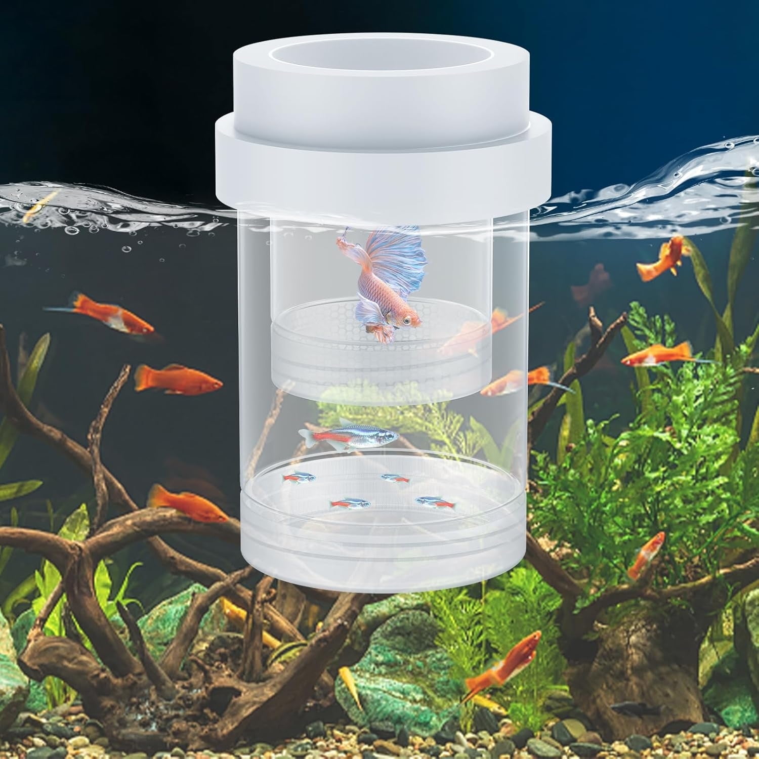 Breeder Box For Fish Tank, Aquarium Fish Breeding Box, Floating Guppy ...