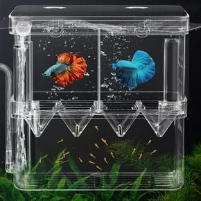 Fish Breeding Boxes