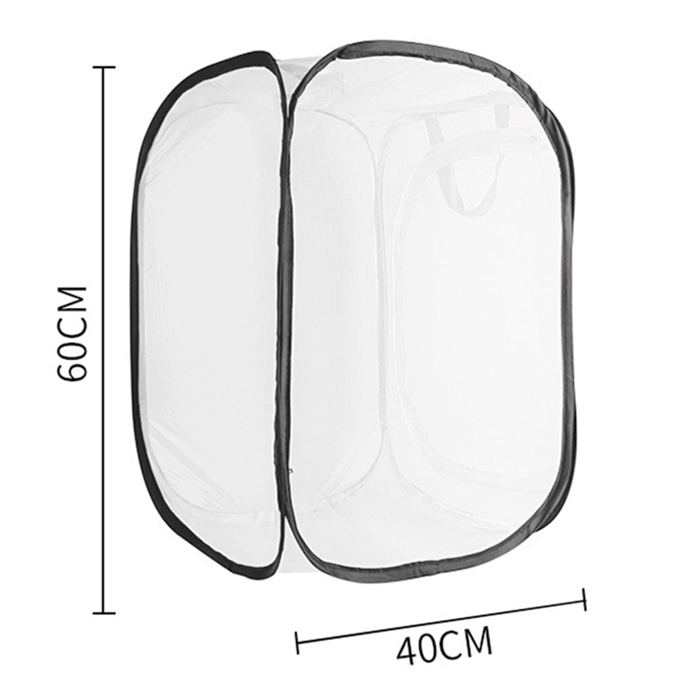 Breeding Display Box Mesh Collapsible Zipper Stick Insect Butterfly ...