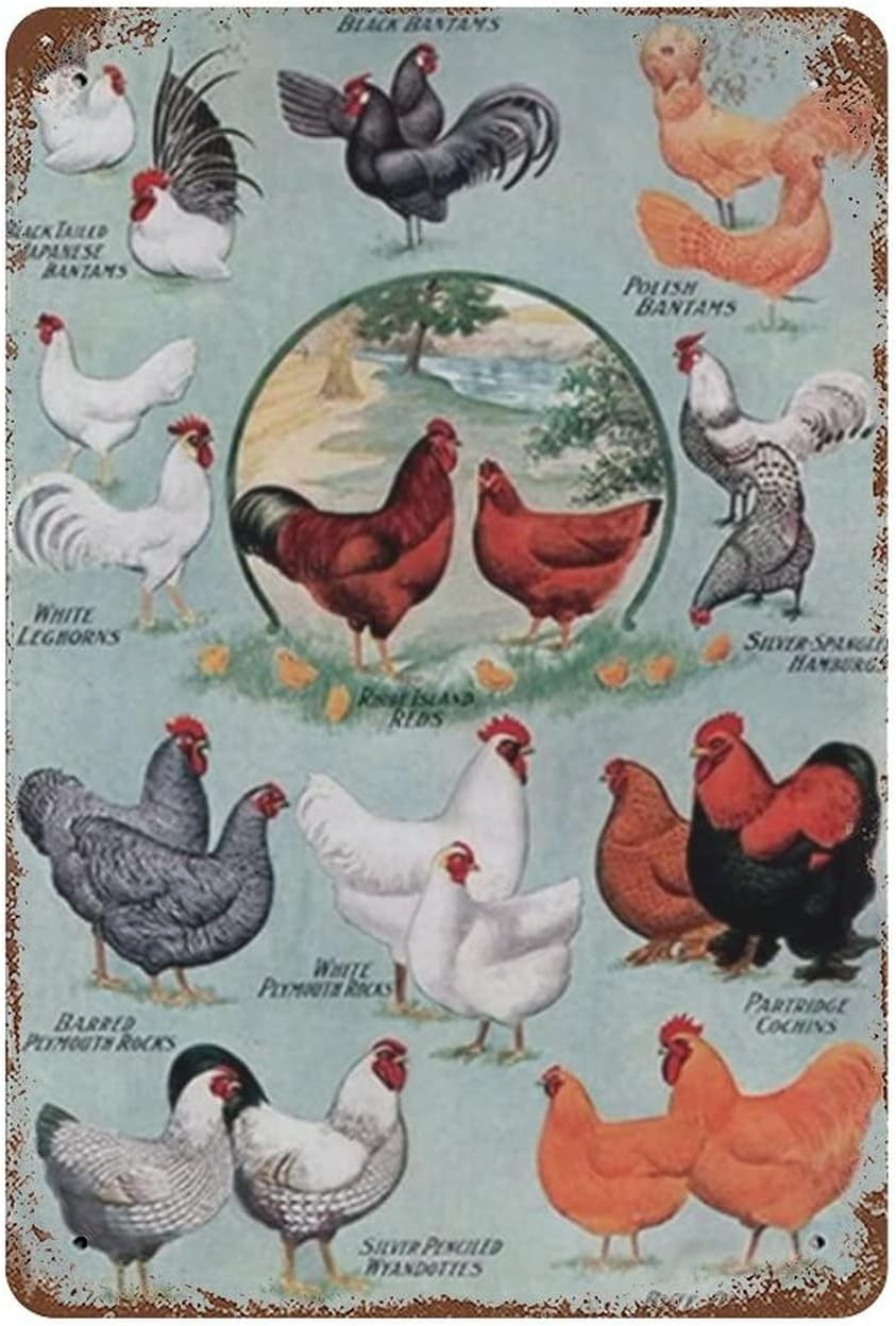 Breeds of Chicken Chart Farm Chicken Coop Wall Decor Vintage Metal Tin ...