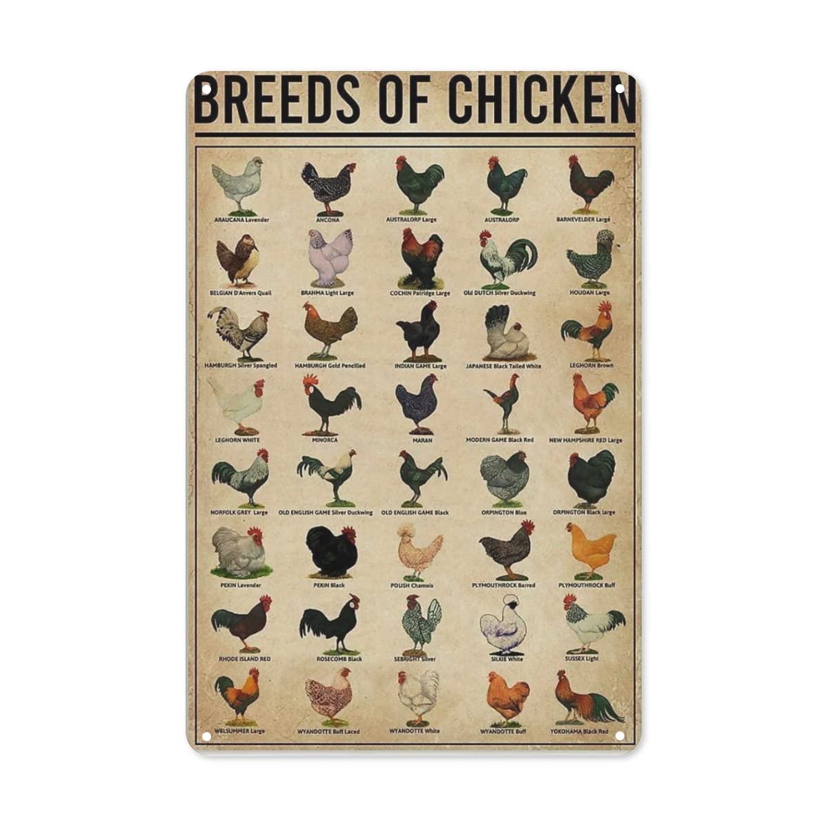 For Breeds of Chickens Poster Vintage Metal Aluminium Signs Coffee Shop ...