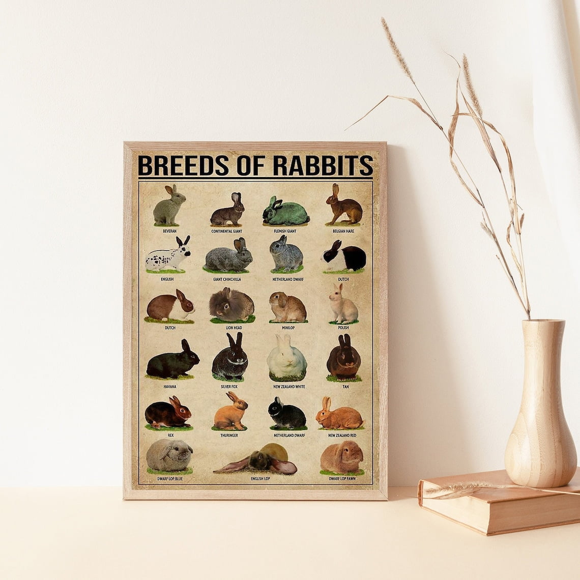 Breeds Of Rabbits Vintage Poster, Rabbit Lover , Rabbit, Knowledge ...