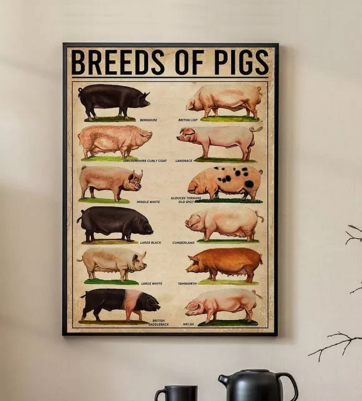 Breeds Of Pigs Vintage Poster, Types Of Pig Poster, Pigs Poster, Breeds ...
