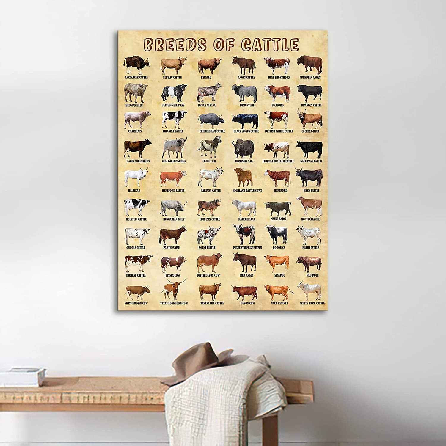 Breeds of Cattle Poster Animal Canvas Farmhouse Highland Cow Poster ...