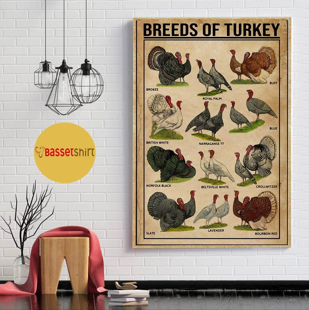 Breeds of Turkey Thanksgiving vertical poster 11 x 17 Inch Poster ...