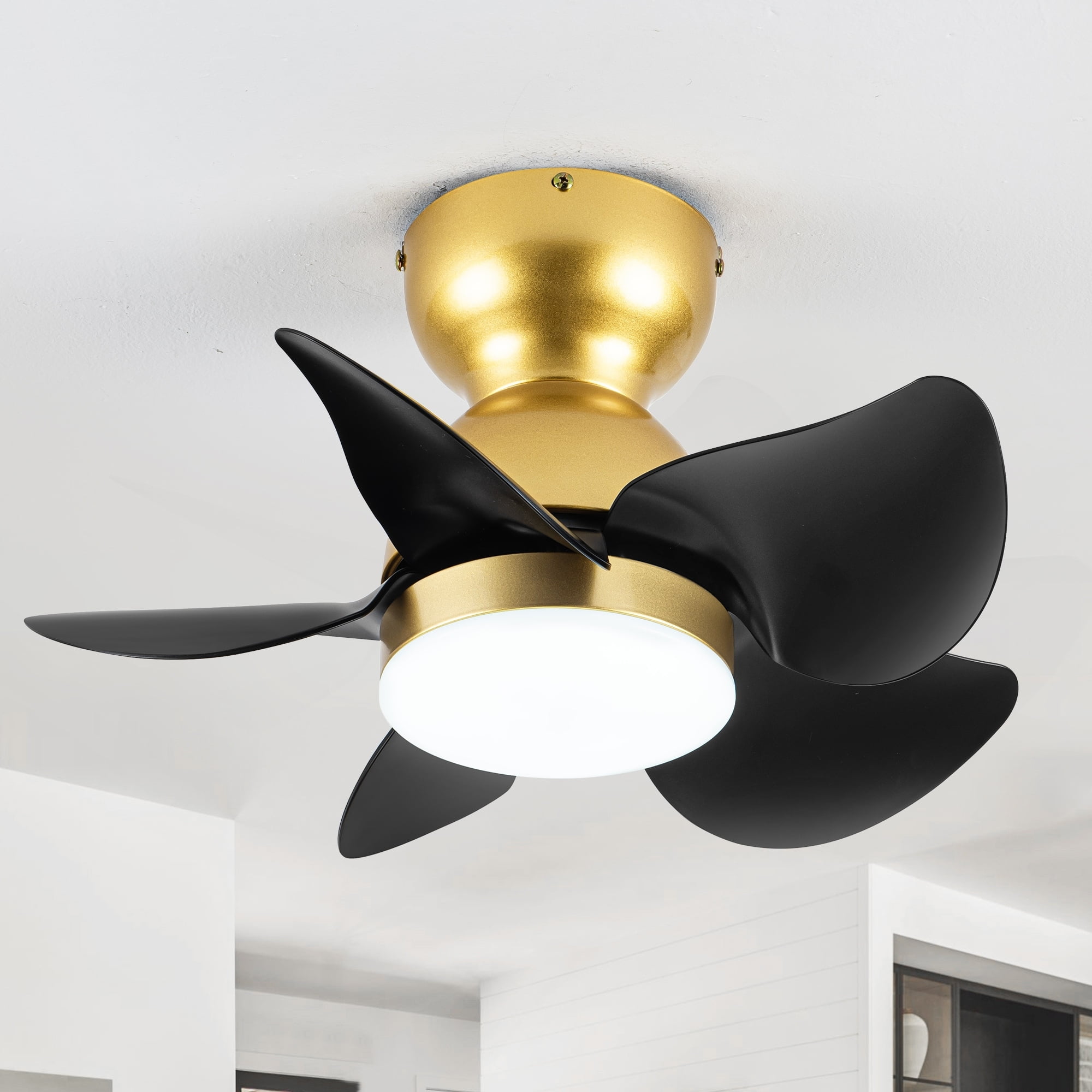 Breezary 20 Inch Flush Mount LED Ceiling Fan with Lights Remote(5-Blade ...