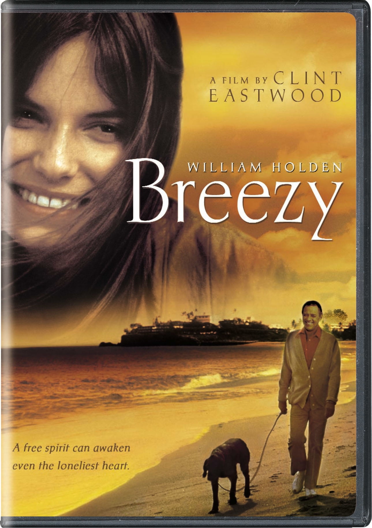 Breezy [DVD], Feature,Drama,Drama, Romance,Drama, - Walmart.com